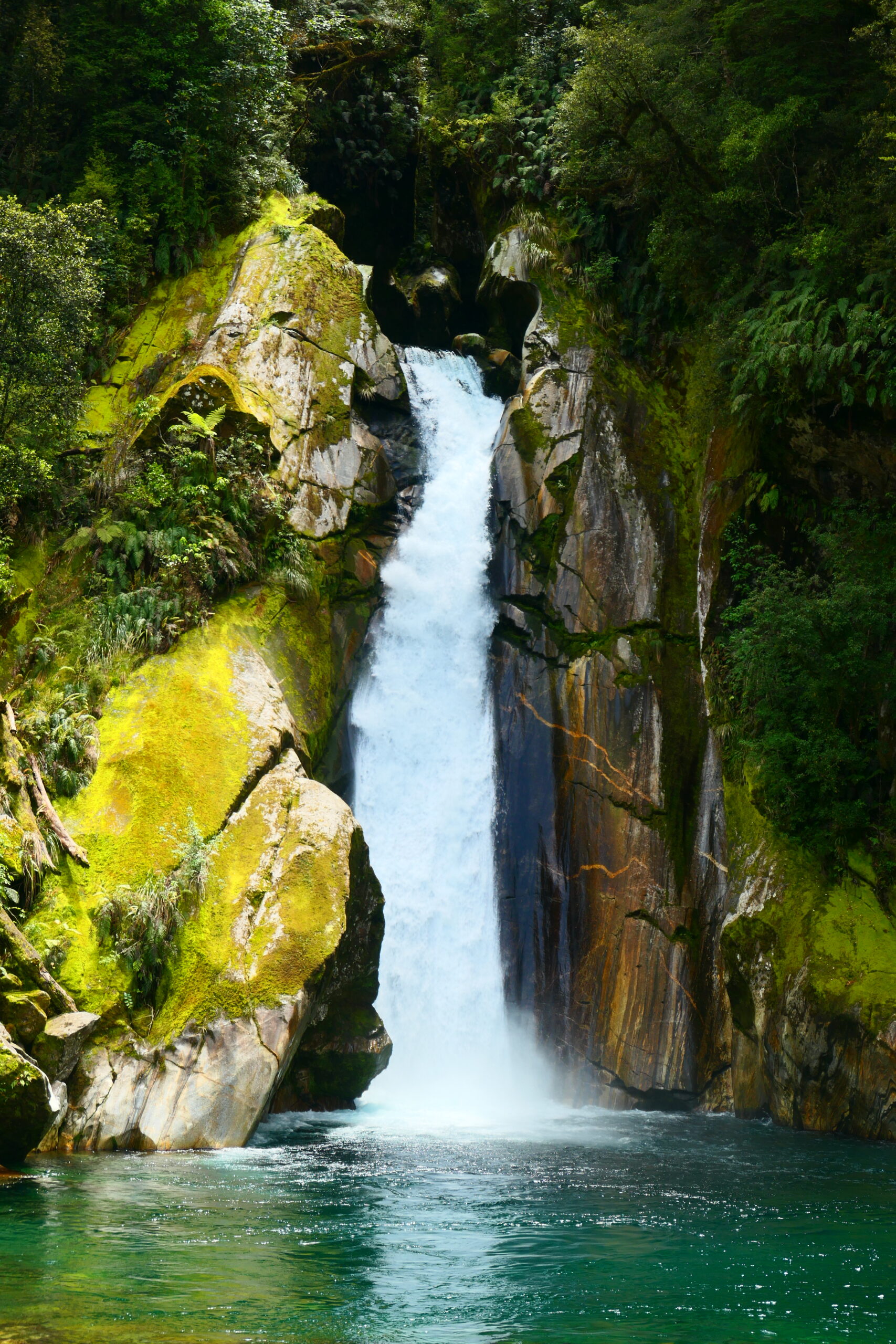 Milford Track Day Four Dumpling Hut to Sandfly Point - Jims Walking Journey